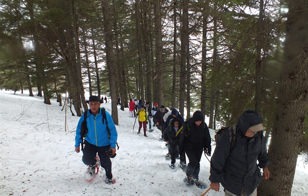 Snowshoeing at Ehden Forest Reserve
