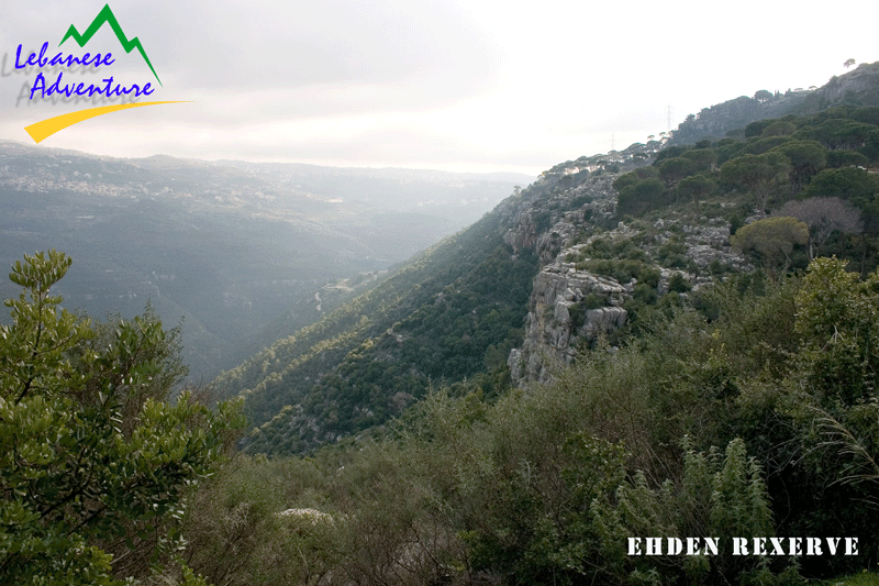 Hiking at Ehden Reserve with Lebanese Adventure