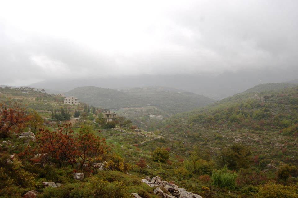 Al Shouf Cedar Nature Reserve