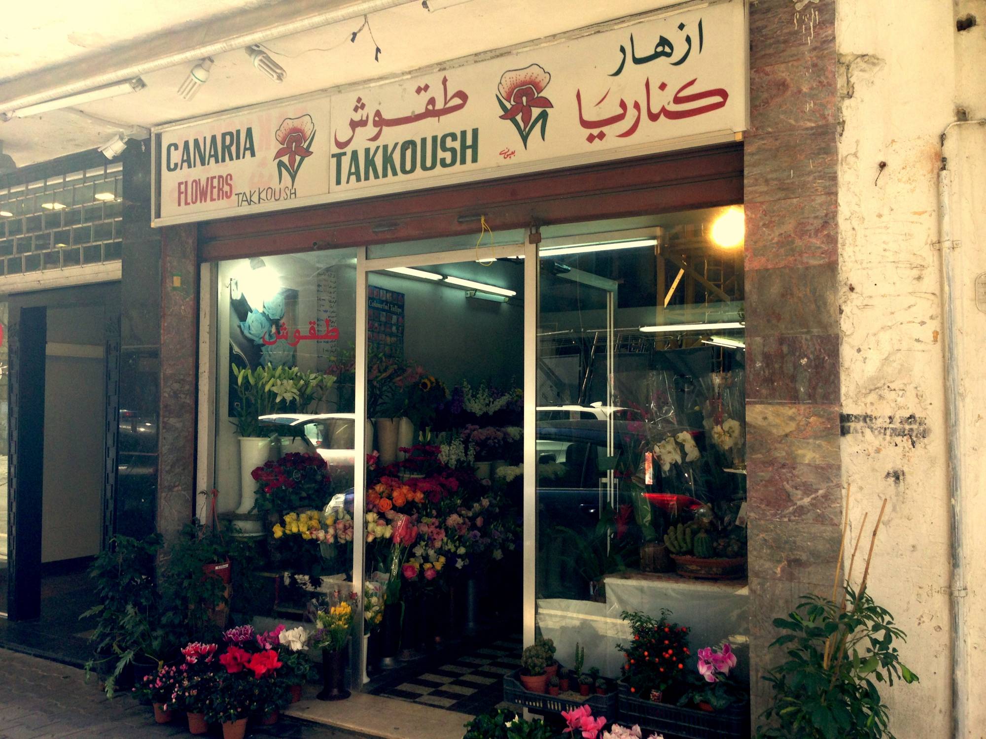 Takkoush Flowers