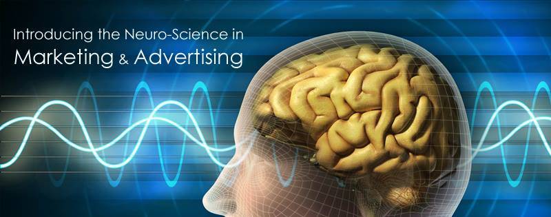 The Neuro-Science in Marketing and Advertising