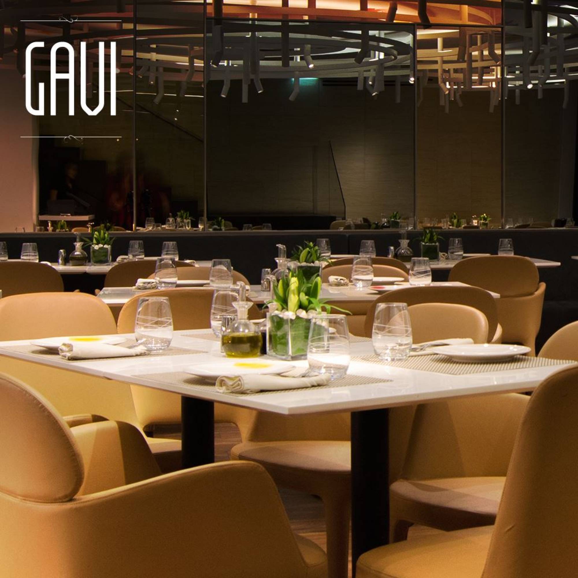 Gavi Restaurant