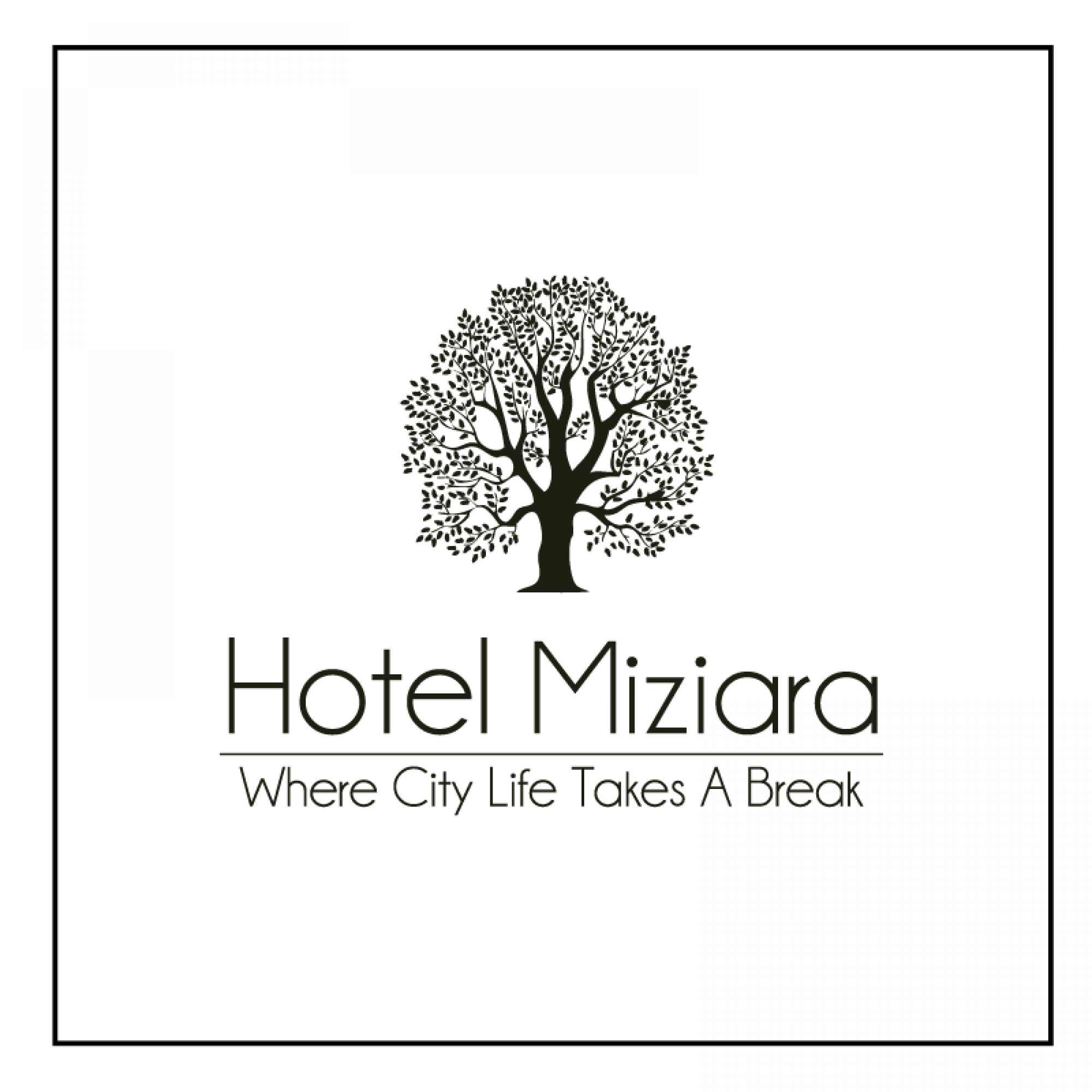 Hotel Miziara