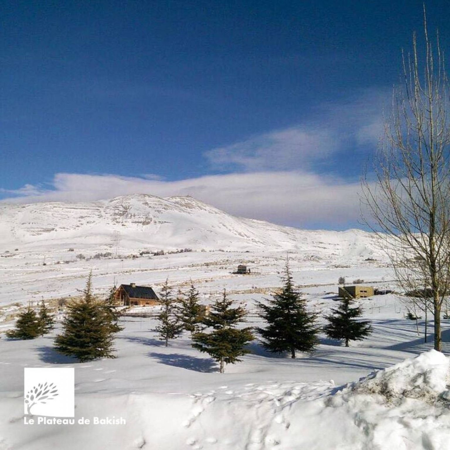 Le Plateau de Bakish