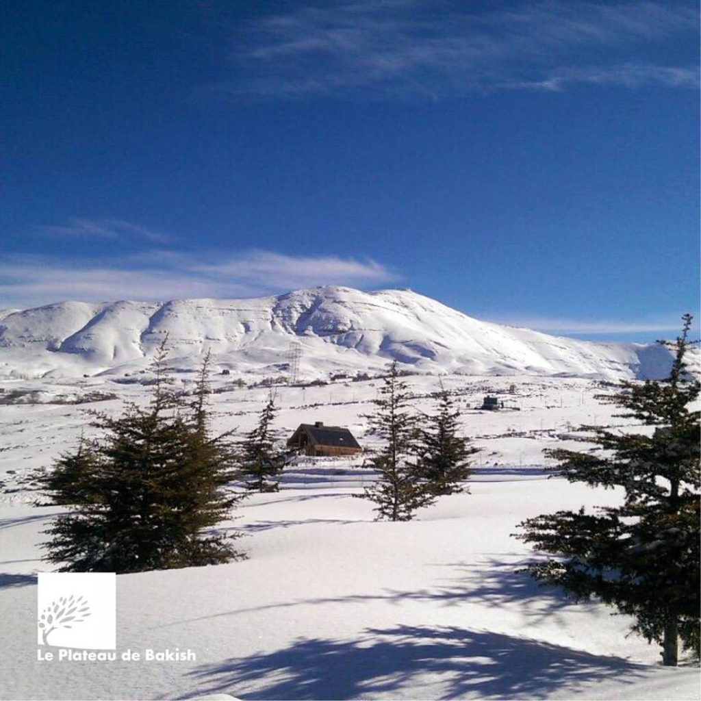 Le Plateau de Bakish