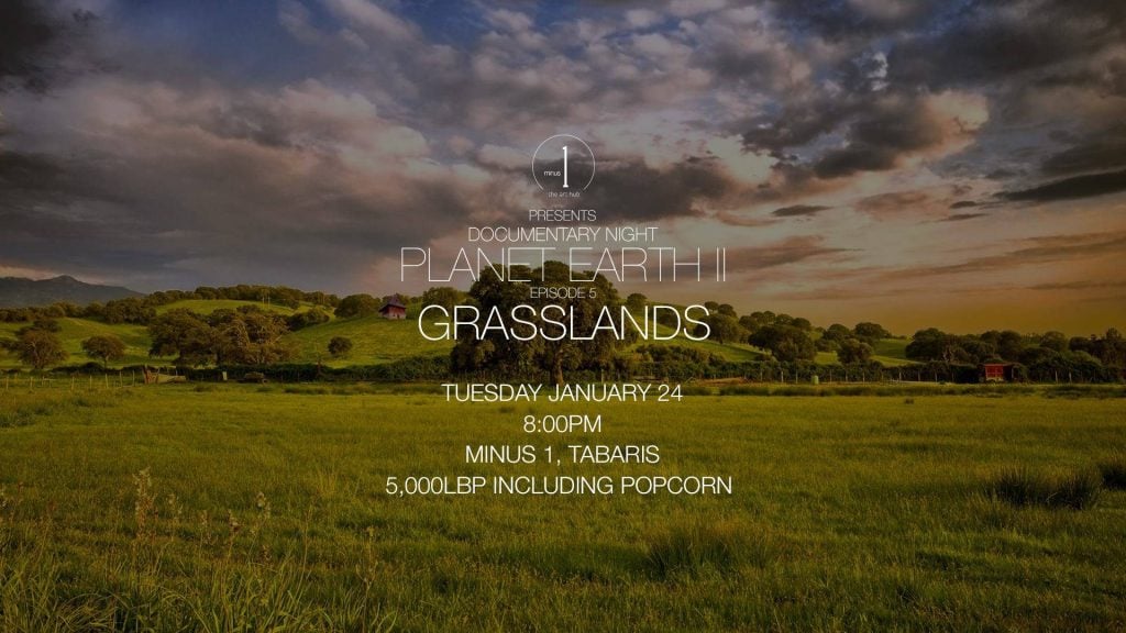 'Planet Earth II: Grasslands' Screening