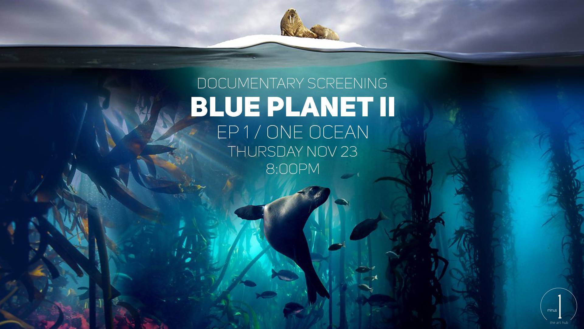 Screening at MInus 1: Blue Planet II: One Ocean