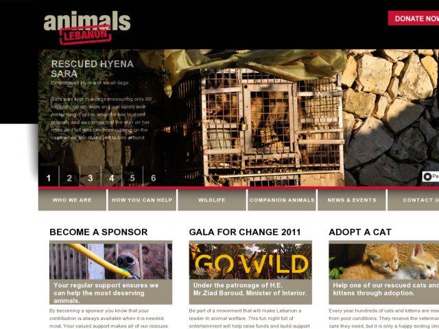 Animals Lebanon