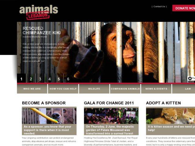 Animals Lebanon