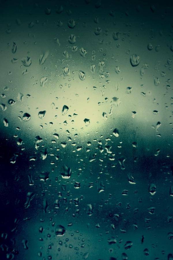 Top 5 Weather Shots of the Day