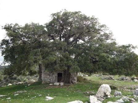 Registration for Mayfouk Hike with Vamos Todos