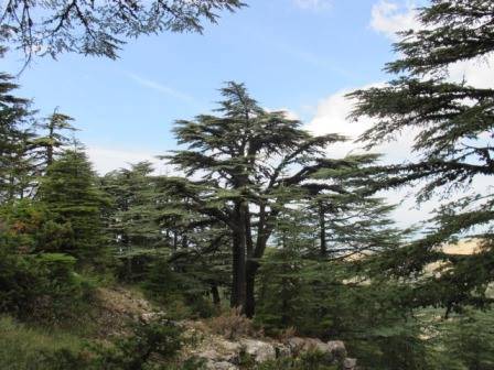 Registration for Ehden Hike with Vamos Todos