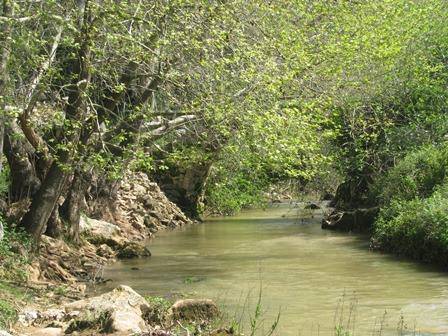 Registration for Nahr Joz Hike with Vamos Todos