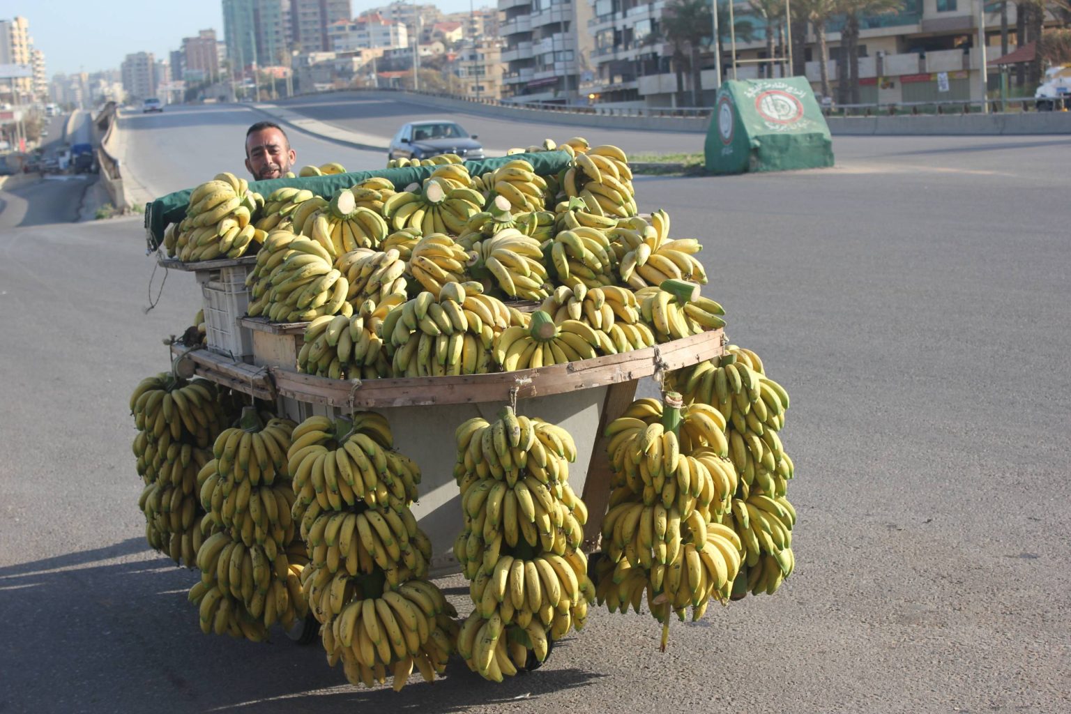 The 18 Fruits You Must Eat in Lebanon This Summer