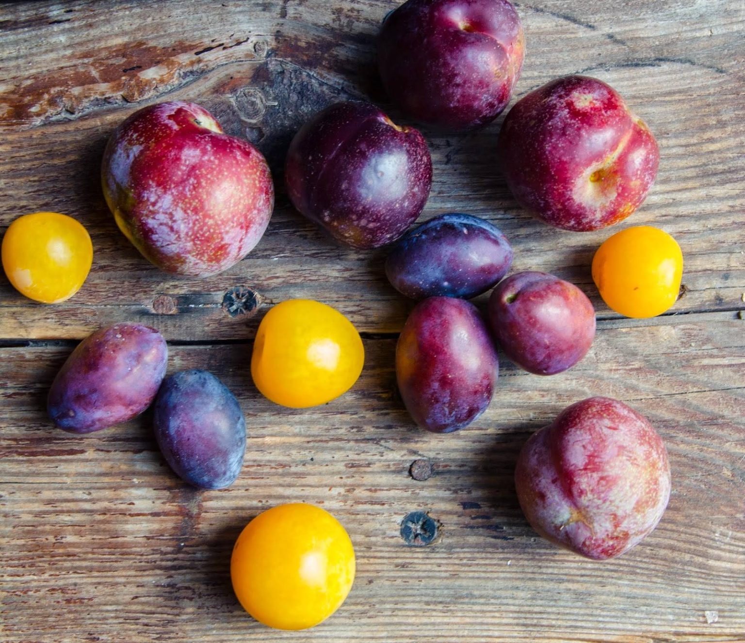 The 18 Fruits You Must Eat in Lebanon This Summer