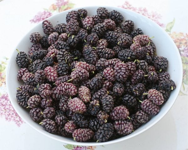 The 18 Fruits You Must Eat in Lebanon This Summer