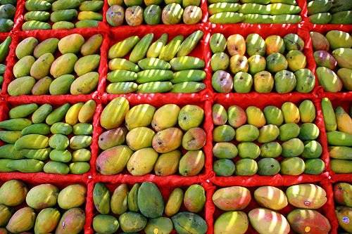 The 18 Fruits You Must Eat in Lebanon This Summer