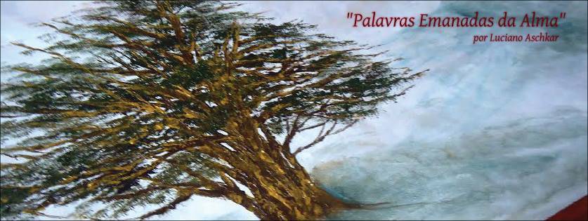 'Palavras Emanadas da Alma' Poetry Book Release
