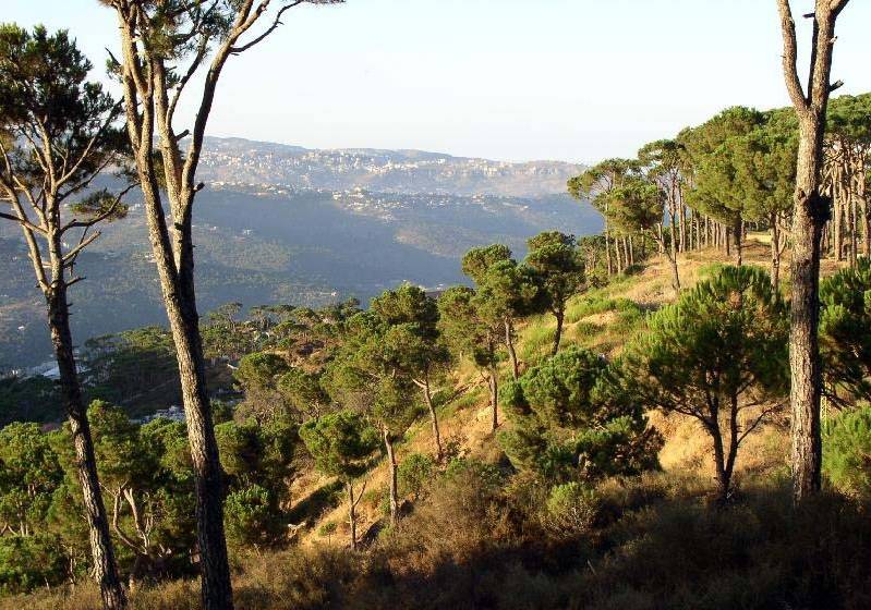 6 Amazing Camping Spots Around Lebanon