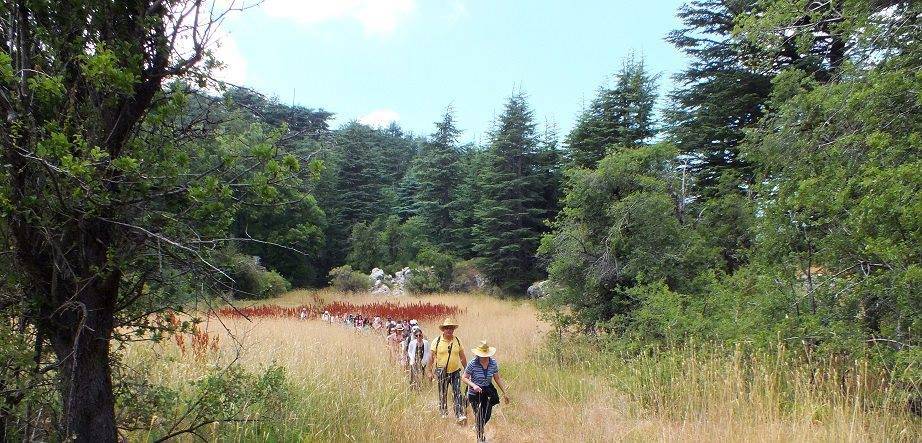 Ehden Forest Reserve Hike with ProMax