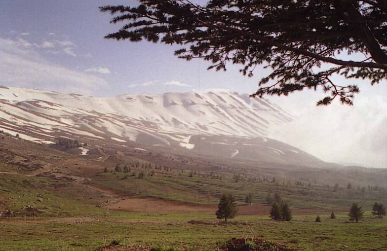 5 Unbelievably Beautiful Places In Lebanon