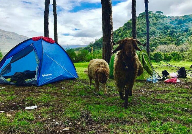 15 Photos That Will Inspire You To Go Camping In Lebanon
