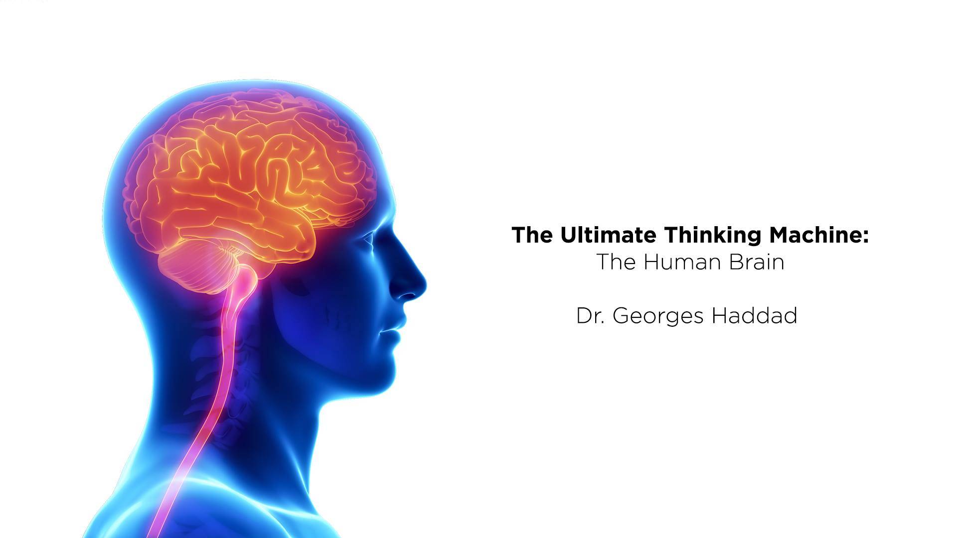 Monday Talk: The Ultimate Thinking Machine - The Human Brain