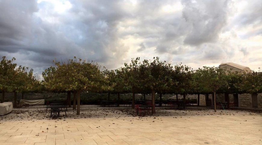 6 Things To Do In Batroun In The Winter