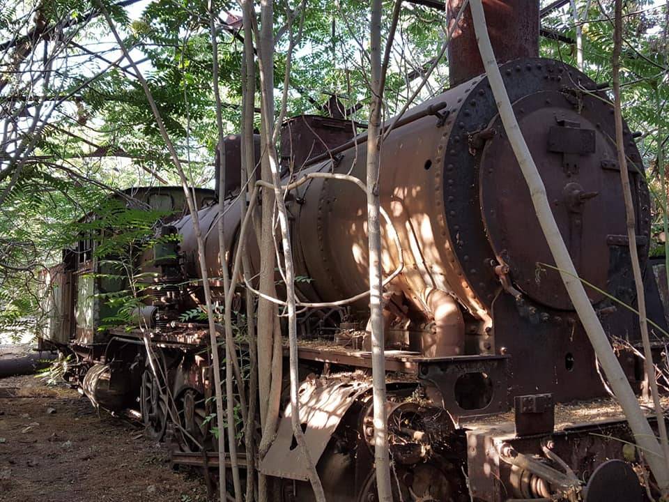 Train/Train Lebanon: The NGO Working To Revive The Lebanese Railway System