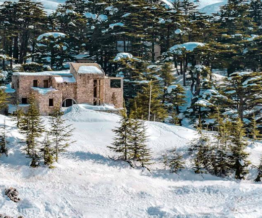 14 Magical Photos Of The Recent Snowfall In Lebanon