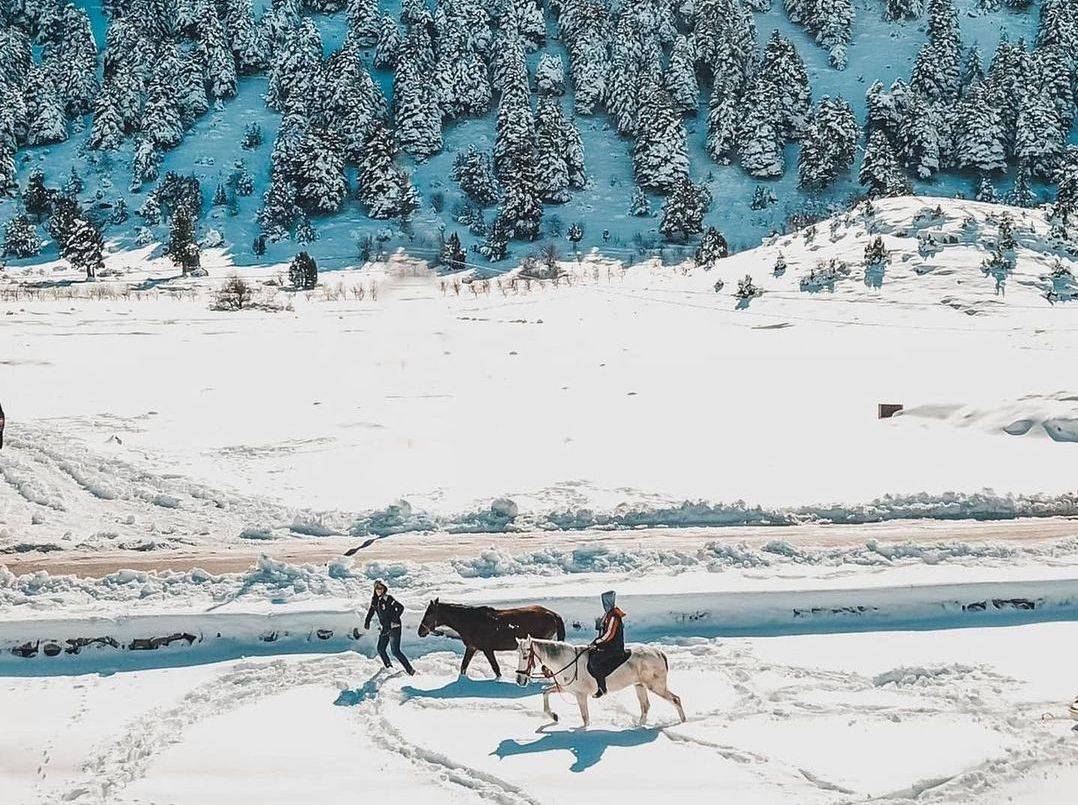 14 Magical Photos Of The Recent Snowfall In Lebanon