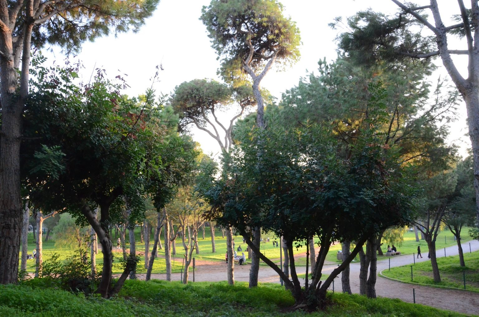 5 Places Where You Can Touch Some Grass In Lebanon