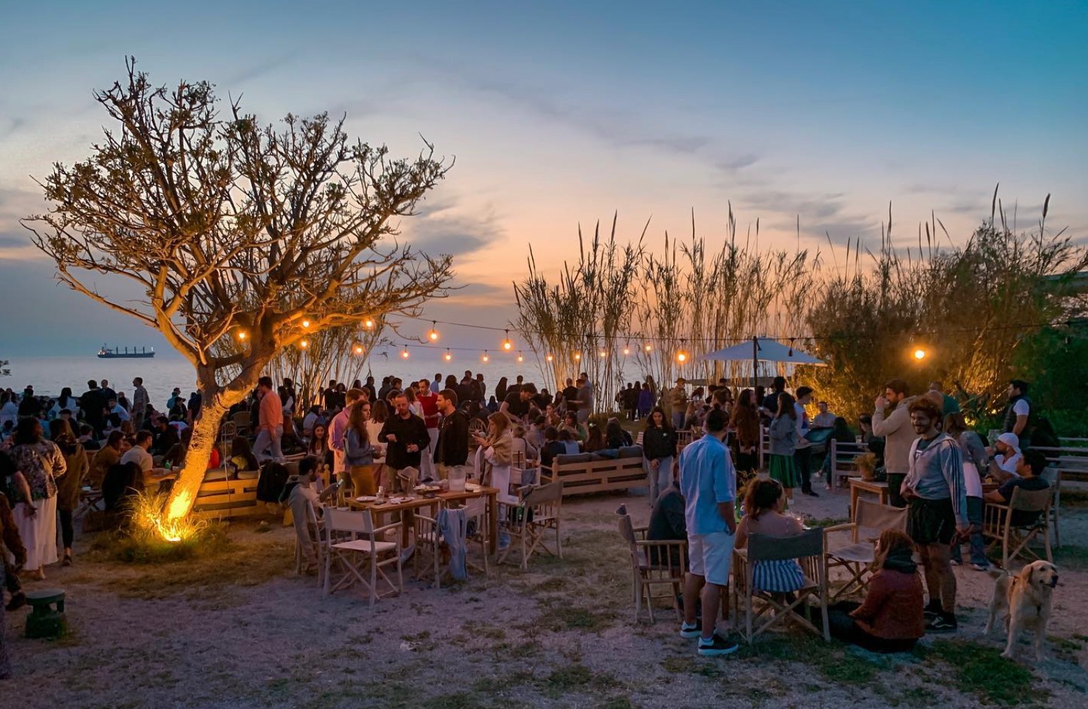 50+ Places To Tick Off Your Summer Bucket List In Lebanon For 2023 ...