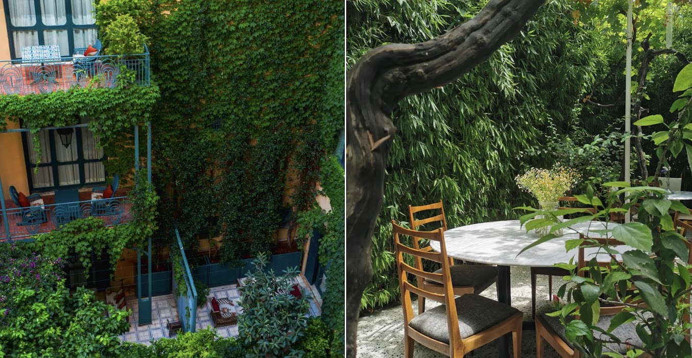 6 Charming Places In Beirut For A Taste Of Nature » Beirut.com