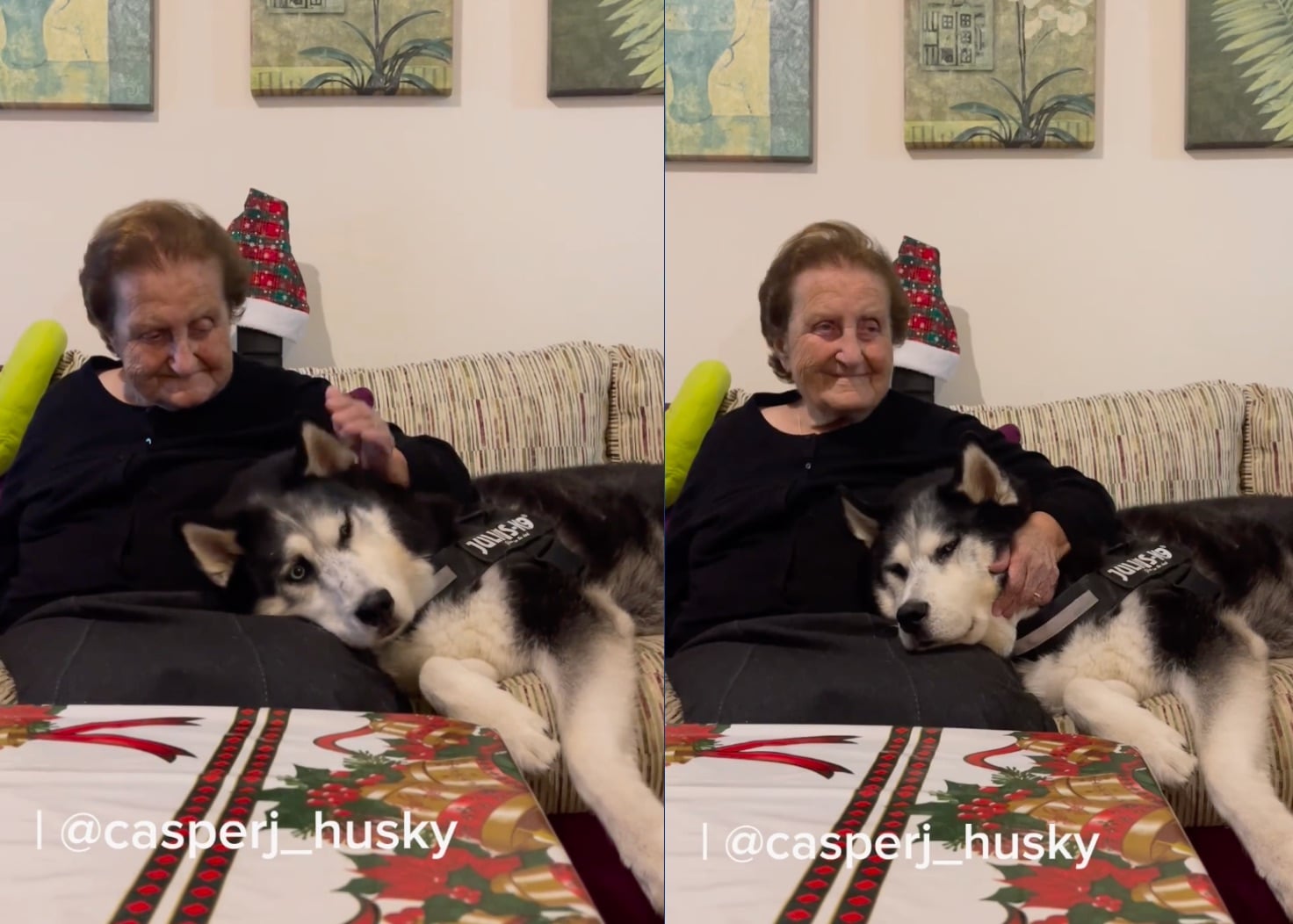 This Adorable Lebanese Teta And Husky Duo Will Make Your Day » Beirut.com
