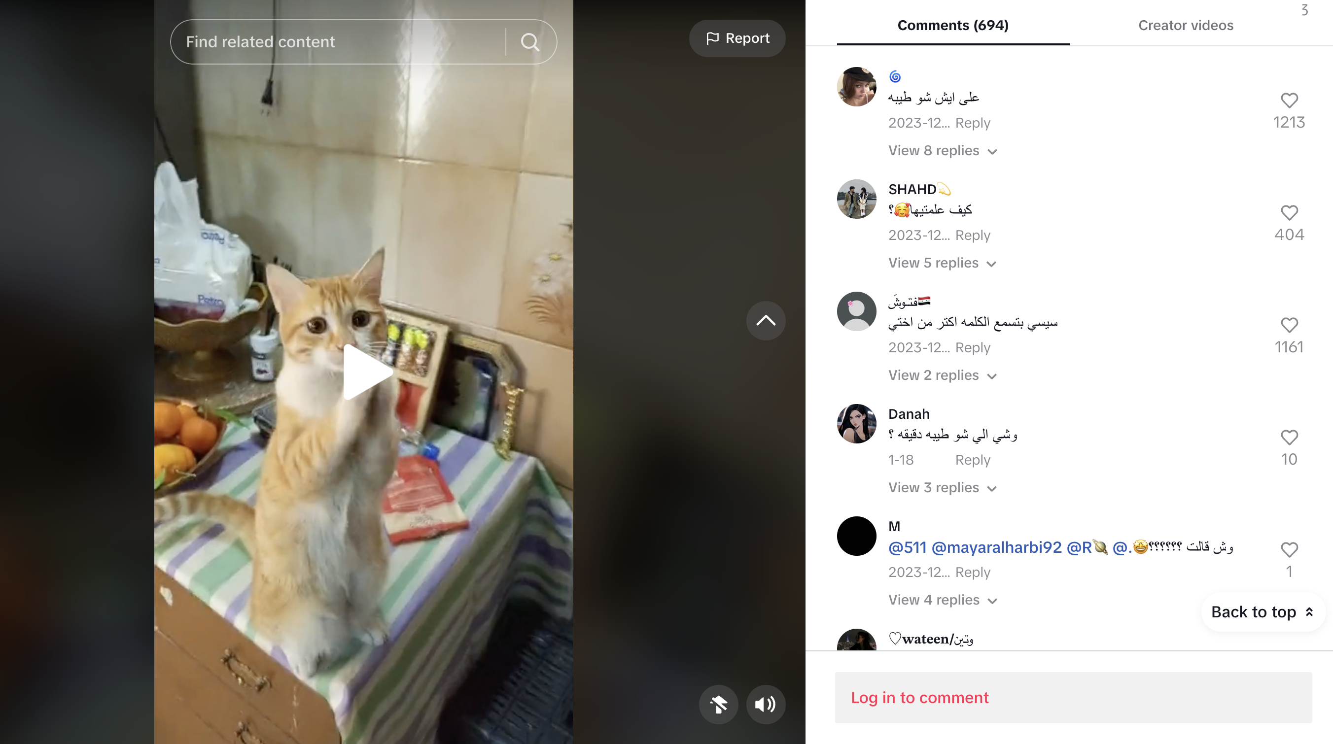 This Lebanese Cat Went Viral For The Cutest Reason » Beirut.com