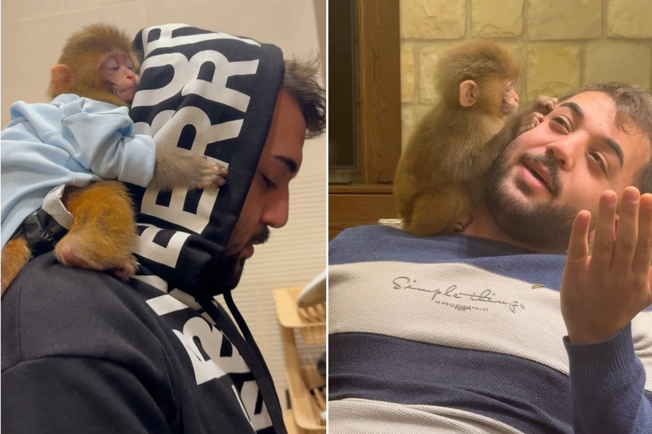 Lebanese Man And His Monkey Go Viral For Being The Cutest Duo » Beirut.com