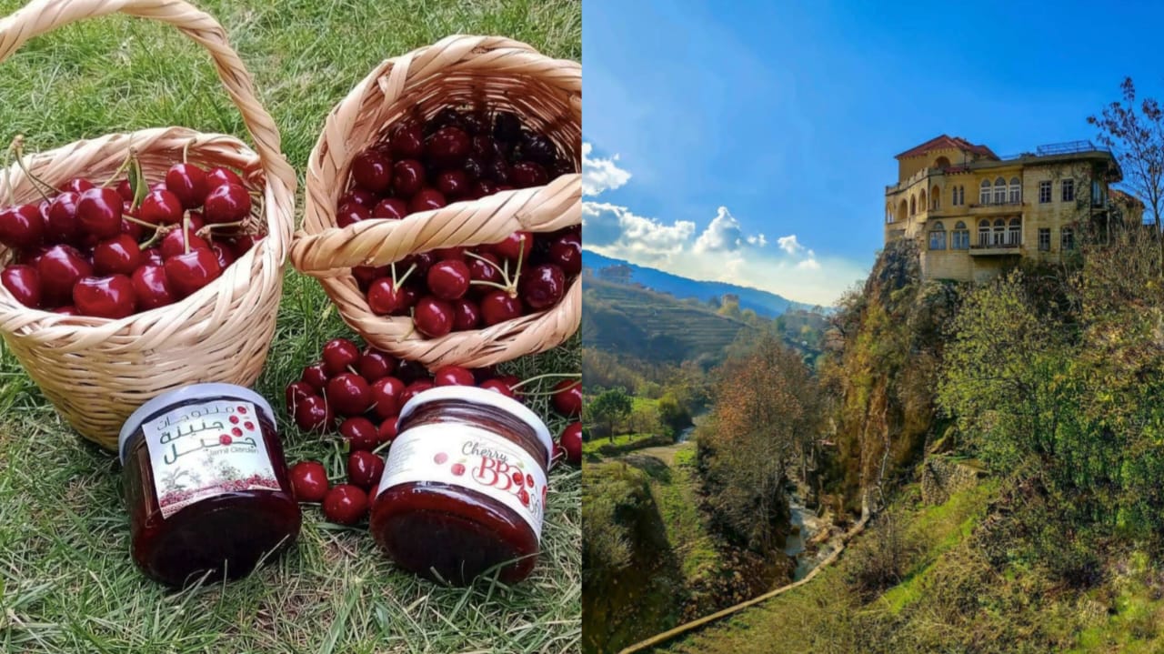 A Day Trip to Hammana: Pick Your Own Cherries at these Orchards ...