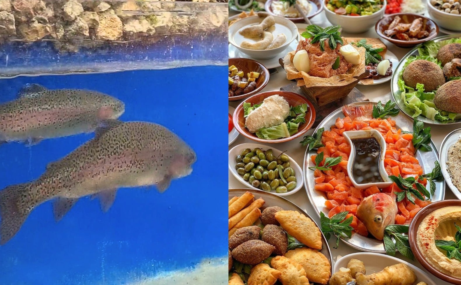 Fish Your Own Lunch at this Fish-to-Table Spot in Lebanon » Beirut.com