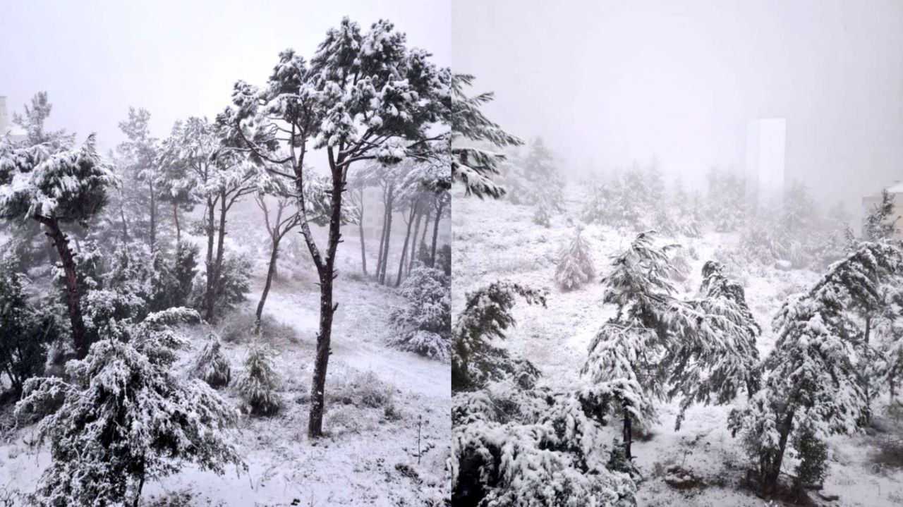 15+ Stunning Shots of Lebanon's Snowy Mountains » Beirut.com