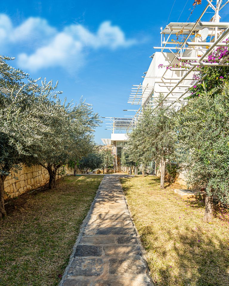 Dar El Zaytoon: A Breathtaking Retreat Among a Thousand Olive Trees ...