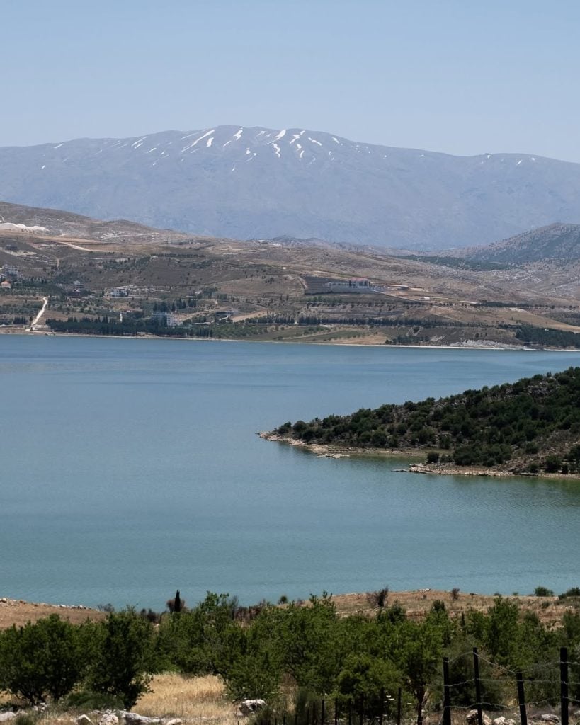 Sunday Plans? Berry Picking and Brunch in the Bekaa Orchards » Beirut.com