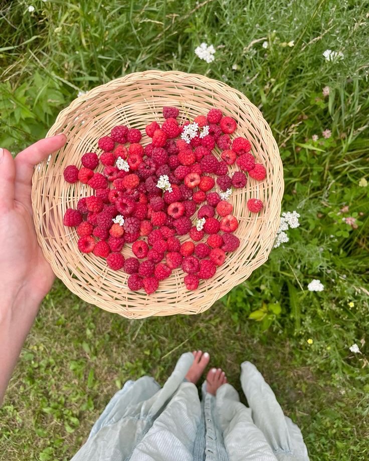 Sunday Plans? Berry Picking and Brunch in the Bekaa Orchards » Beirut.com