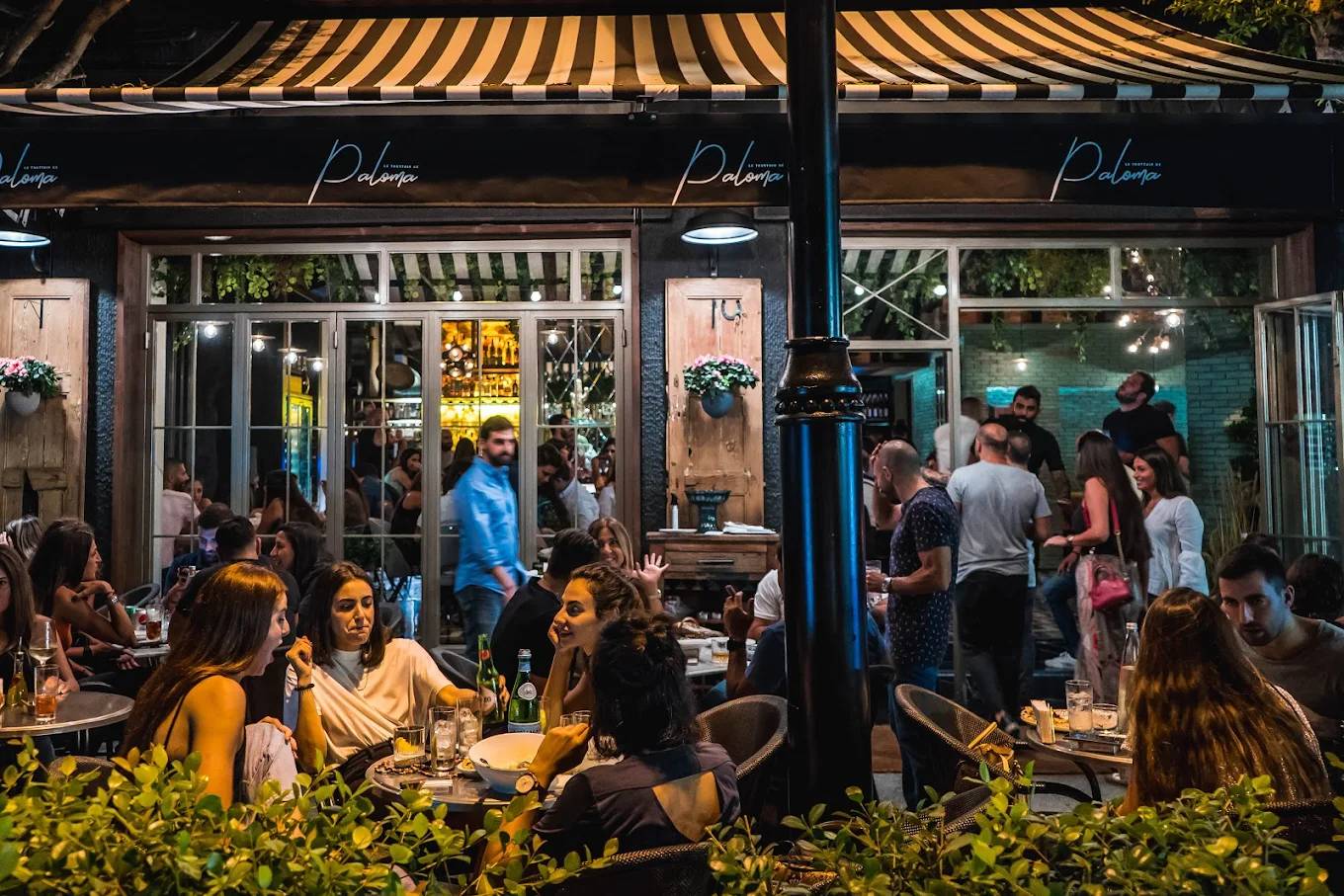 Paloma to Open New Pool Bar in Beirut! » Beirut.com