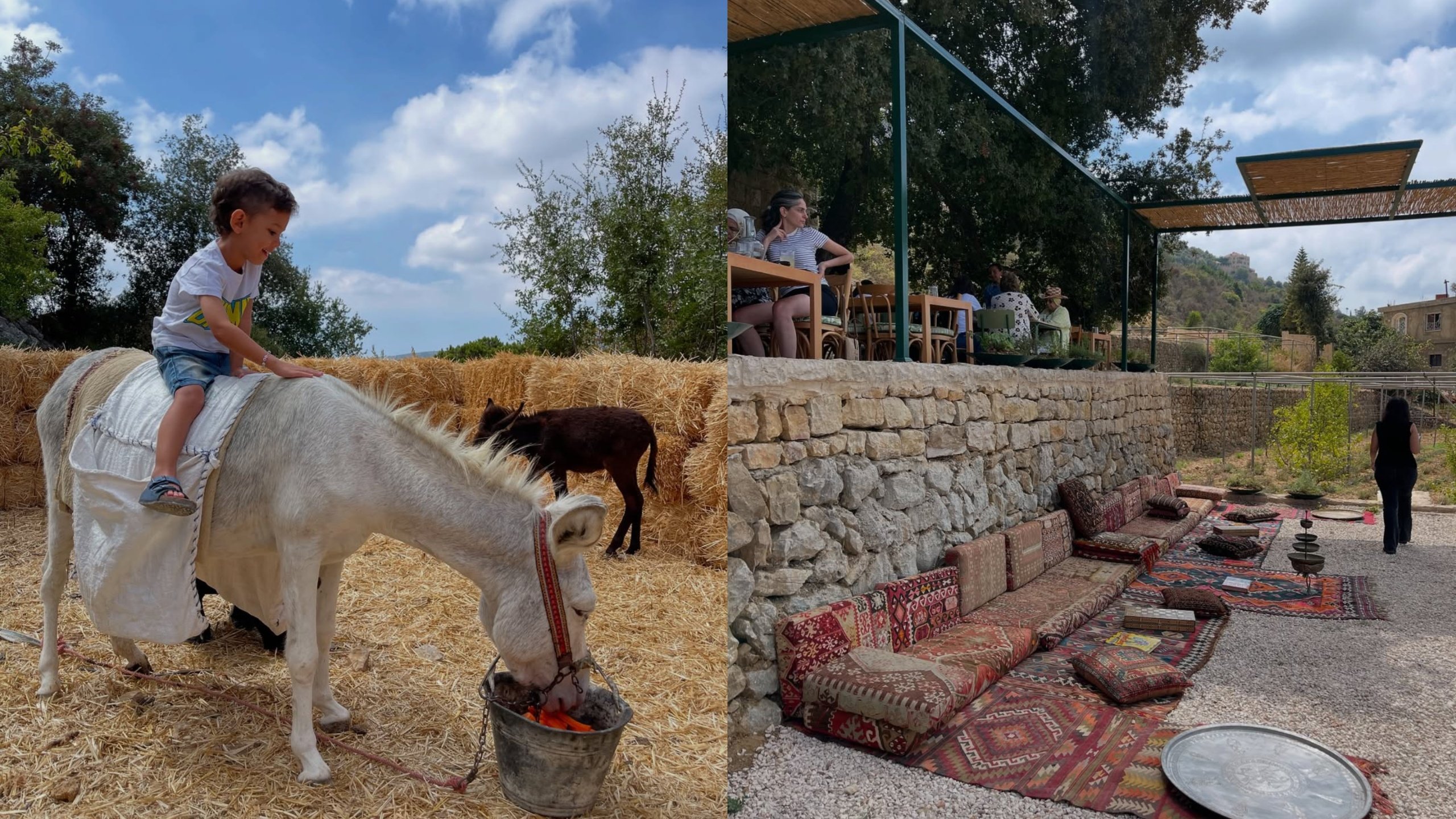 Olive Trees, Mountain Views, and An All-You-Can-Eat Sunday Buffet in ...