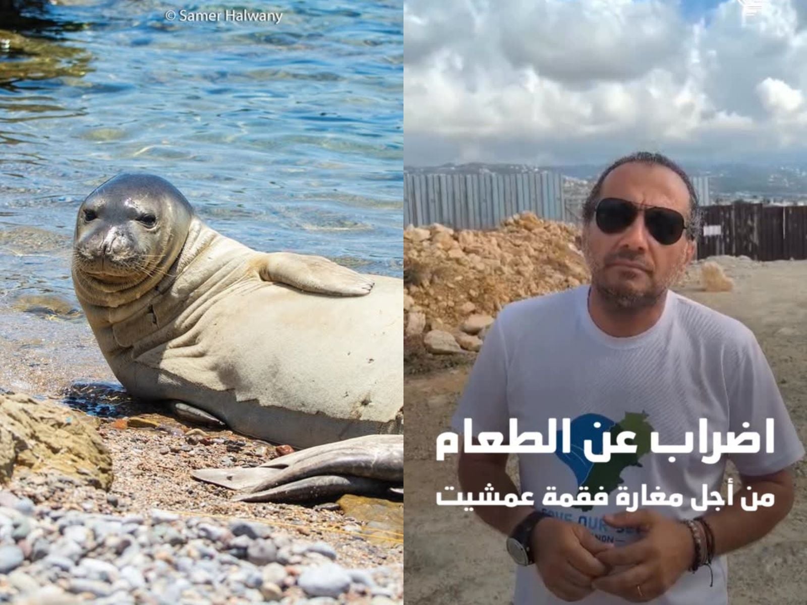 Activist Launches Open-Ended Hunger Strike to Save Amchit Seal Cave ...